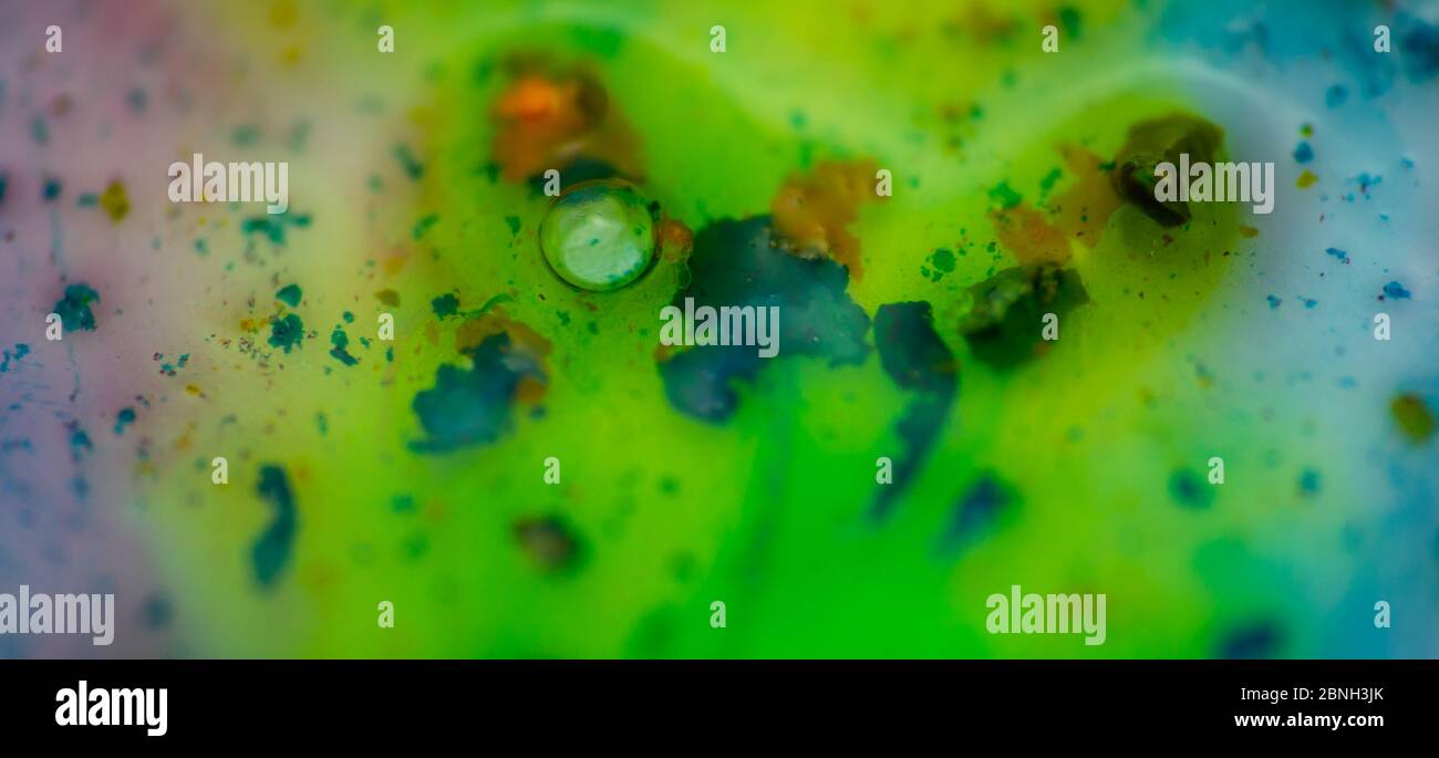 Macro photo abstract green colorful color on white background. Color ...
