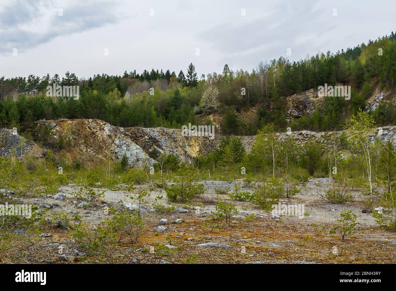 Rock break, quarry with tree. Nature sanctuary Vyri vrch, Czech ...