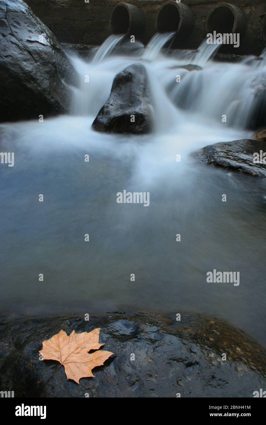 isolated landscape with flowing water and leaf in foreground Stock ...