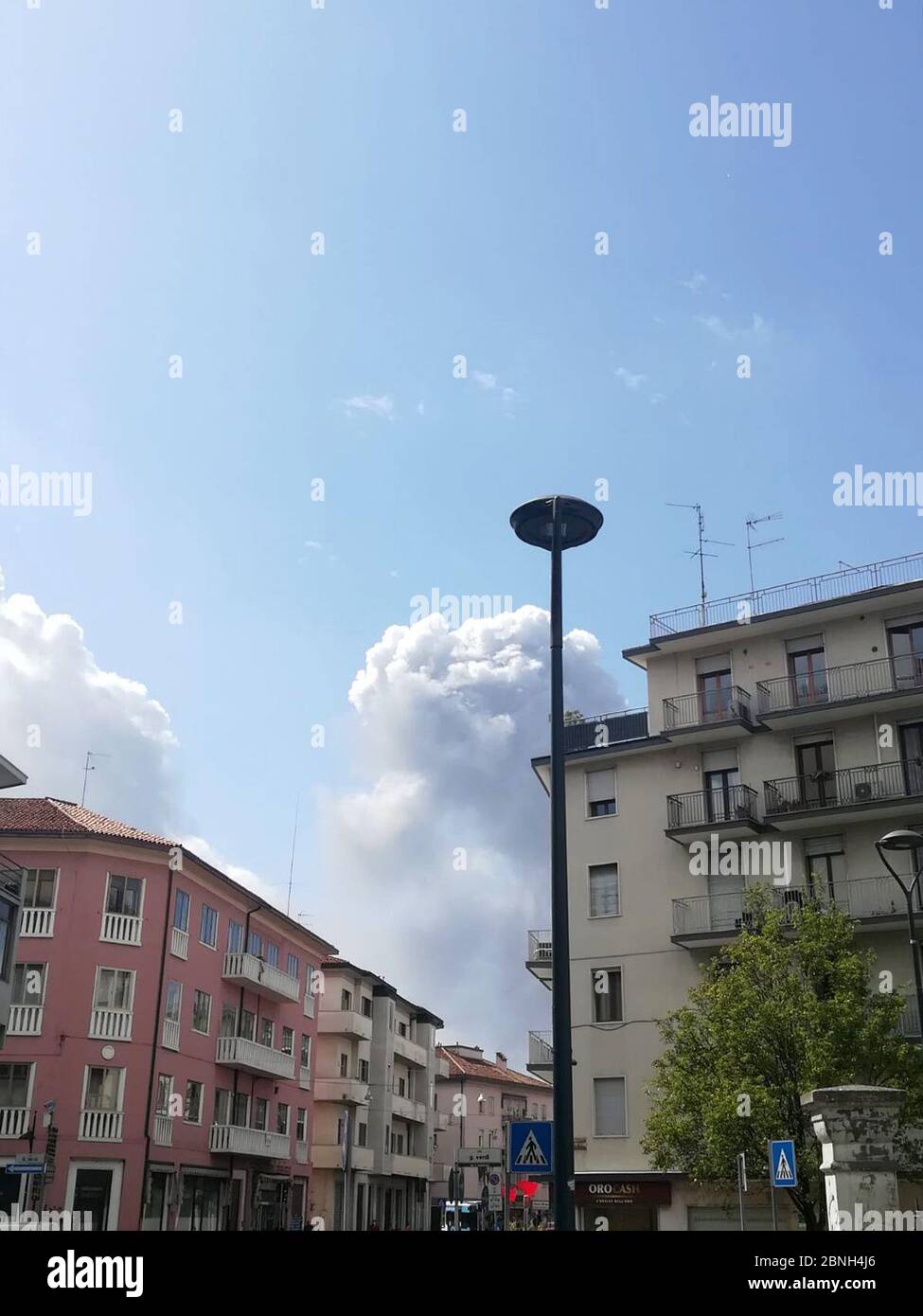 Acetone plant hi-res stock photography and images - Alamy