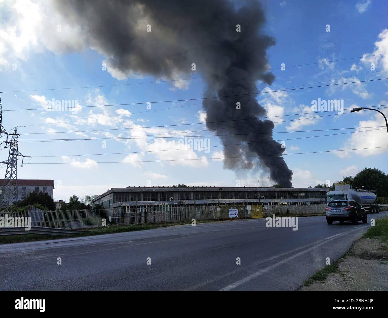 Acetone plant hi-res stock photography and images - Alamy