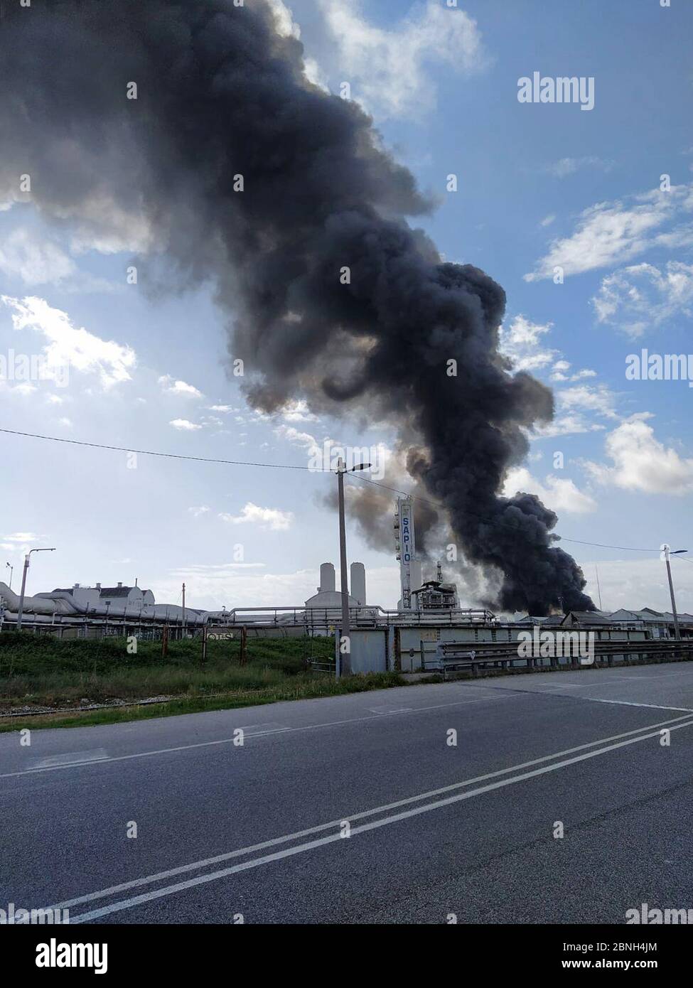 Acetone plant hi-res stock photography and images - Alamy