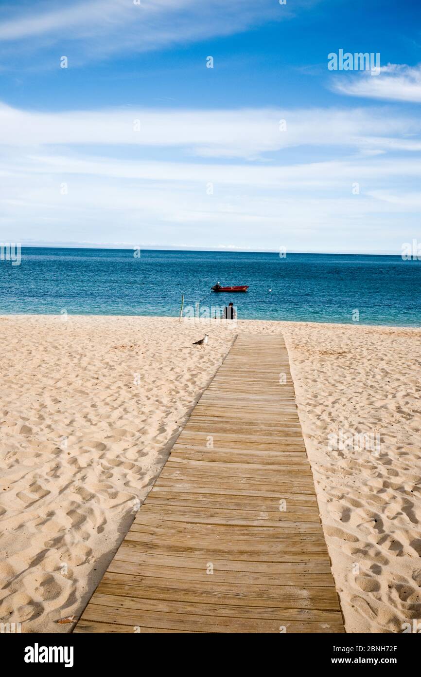 wooden decking stretches across a sandy beach, with seagull and seated ...