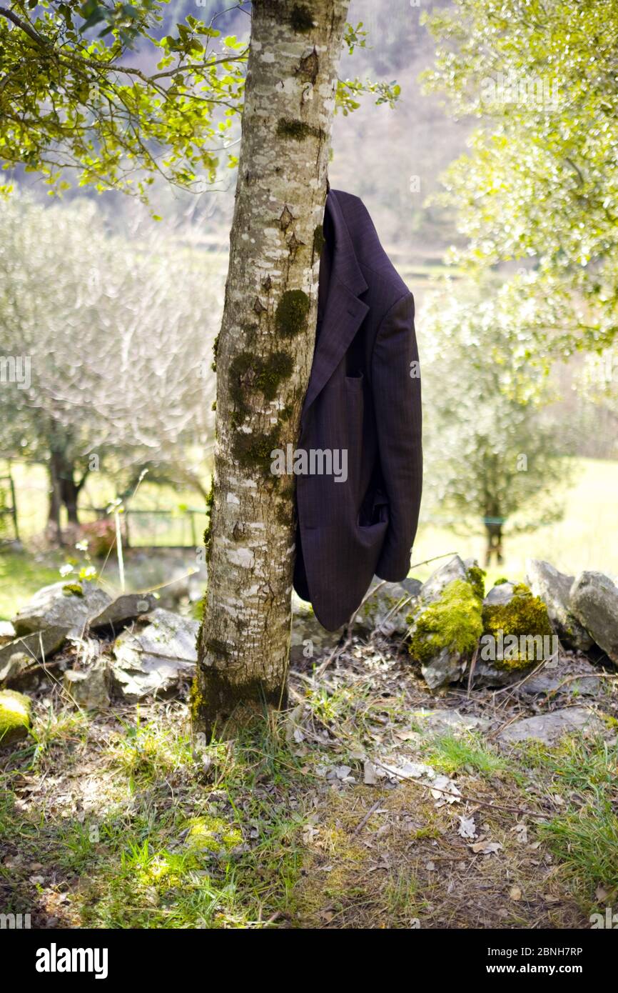 Pinstriped hi-res stock photography and images - Alamy