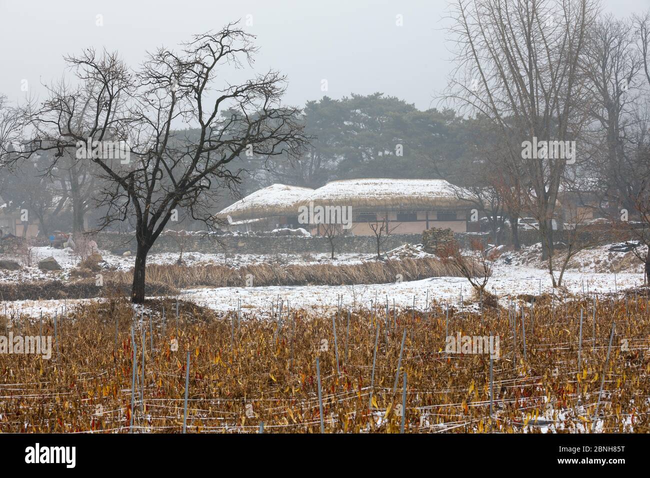 Winter in Korea, snowy countryside landscape Oeam Folk Village Stock ...