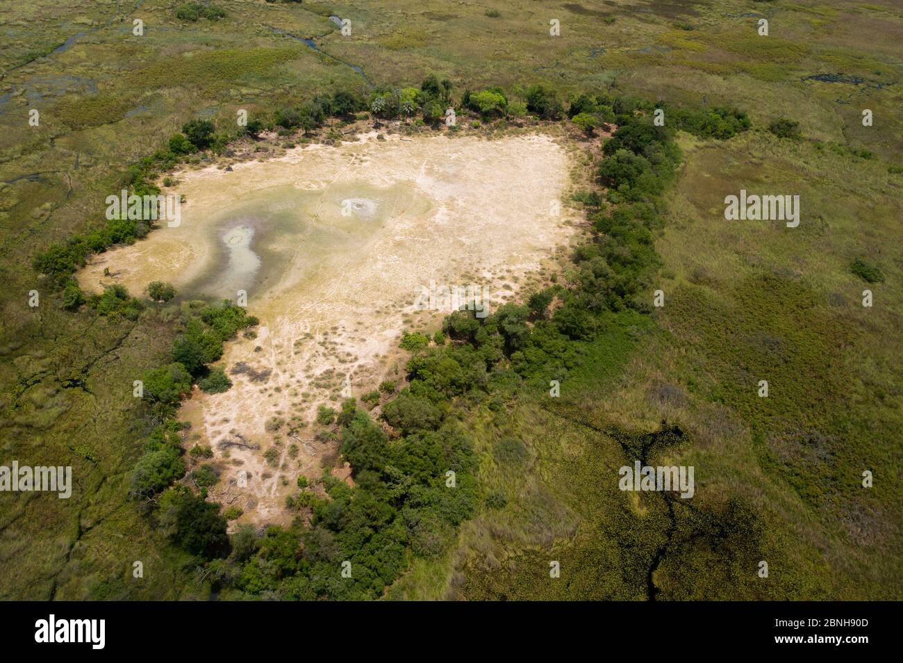 Aerial landscape photograph of the Okavango Delta swamp in Botswana ...