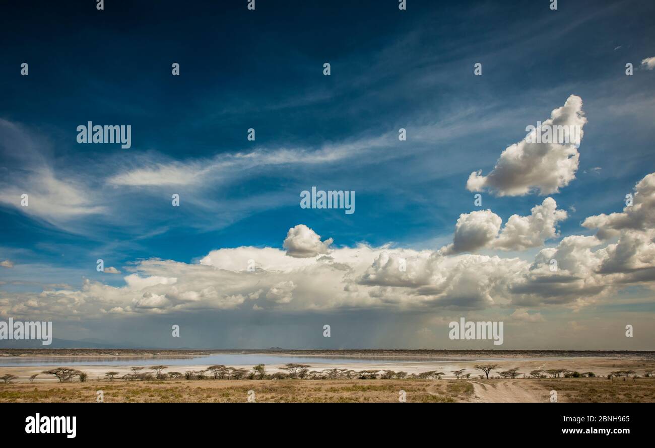 Lake Ndutu with rain storm in the distance, Tanzania Stock Photo - Alamy