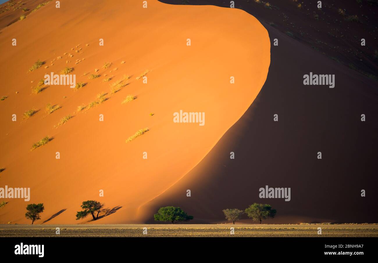 Red dunes of Sossusvlei, Namibia Stock Photo - Alamy