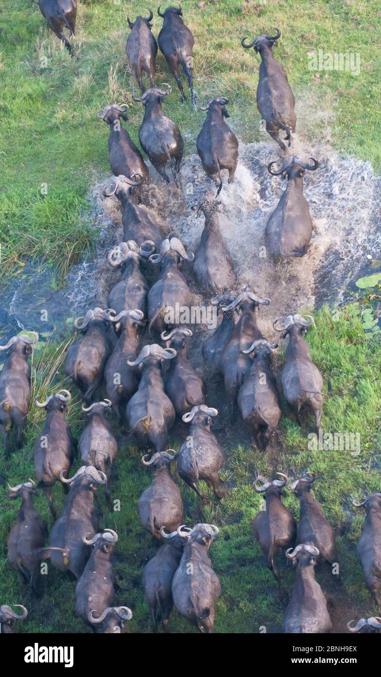 Swamp crossing hi-res stock photography and images - Alamy