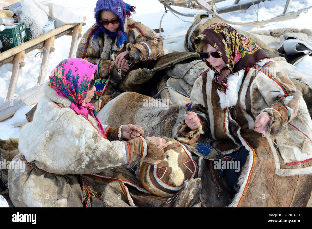 Sinew hi-res stock photography and images - Alamy