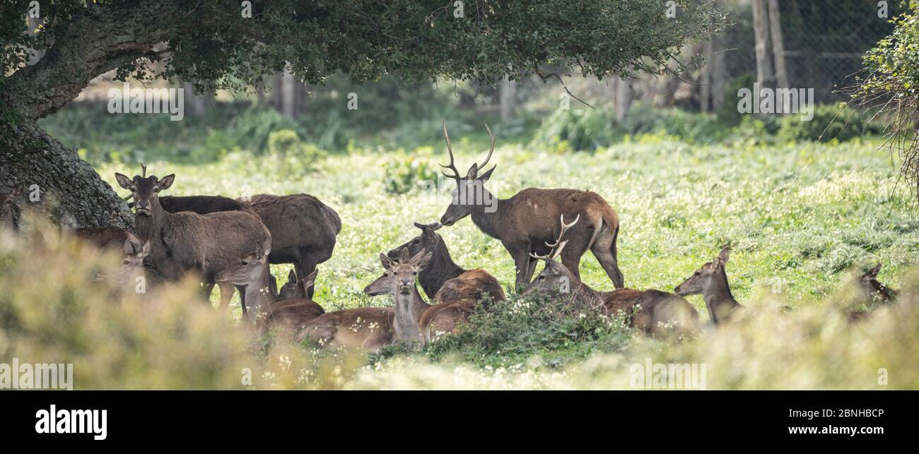 welcome to tunisia: El Feij, Le Kef Stock Photo - Alamy