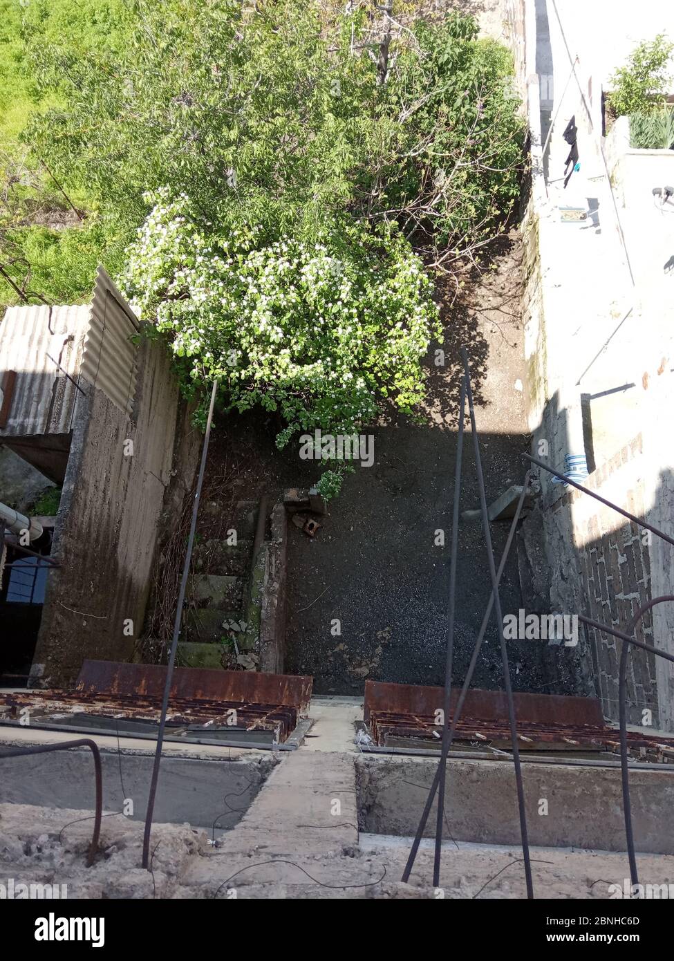 Vertical low angle shot of house construction with trees on the ...