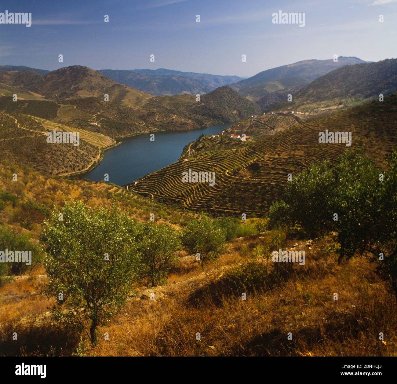 Douro Valley, Portugal Stock Photo - Alamy