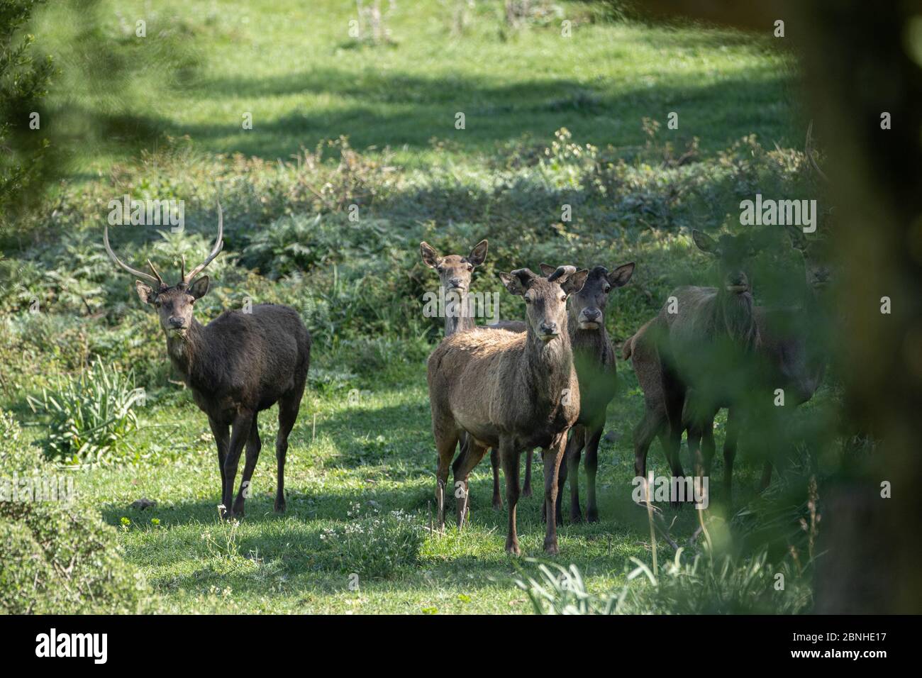 welcome to tunisia: El Feij, Le Kef Stock Photo - Alamy