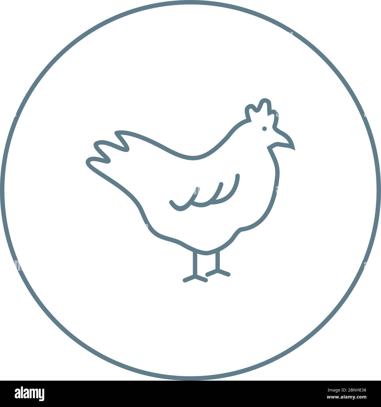 Chicken laying Stock Vector Images - Alamy