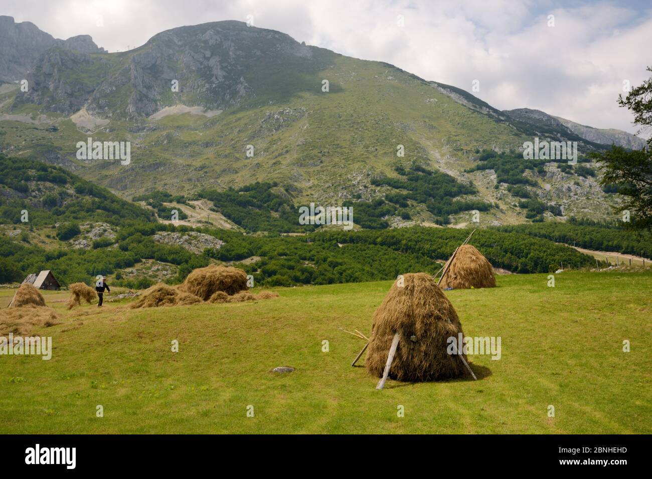 Traditional haystack hi-res stock photography and images - Alamy
