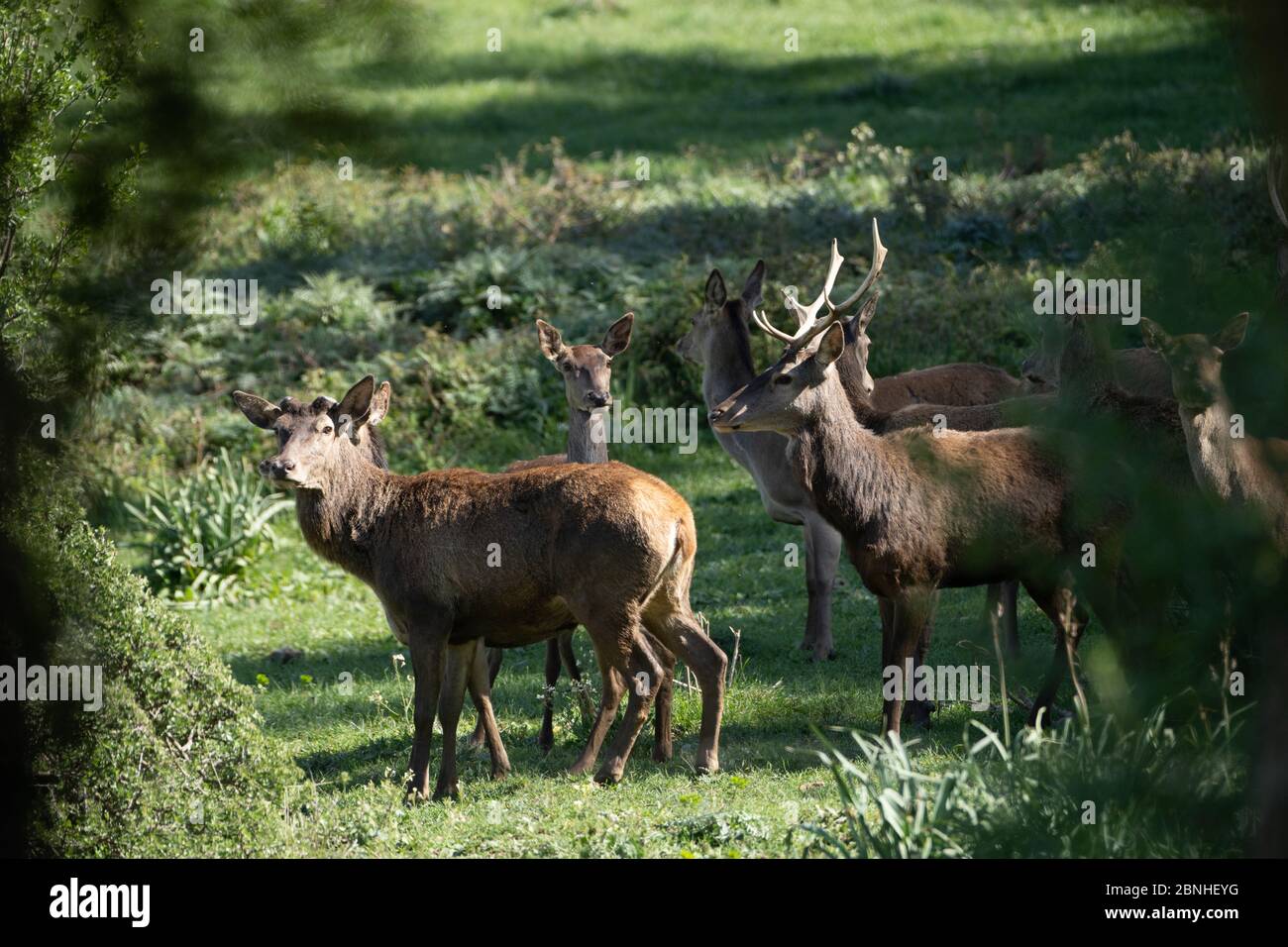welcome to tunisia: El Feij, Le Kef Stock Photo - Alamy