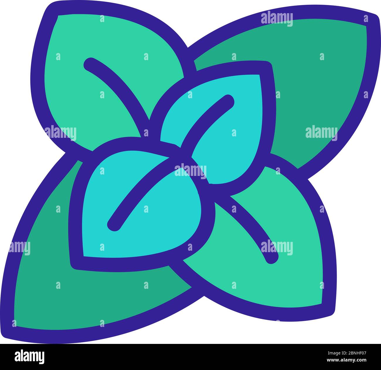 inflorescence of fragrant oregano icon vector outline illustration ...