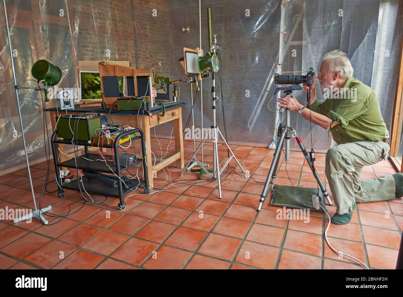 Photographer Stephen Dalton with his indoor studio set up for insect ...