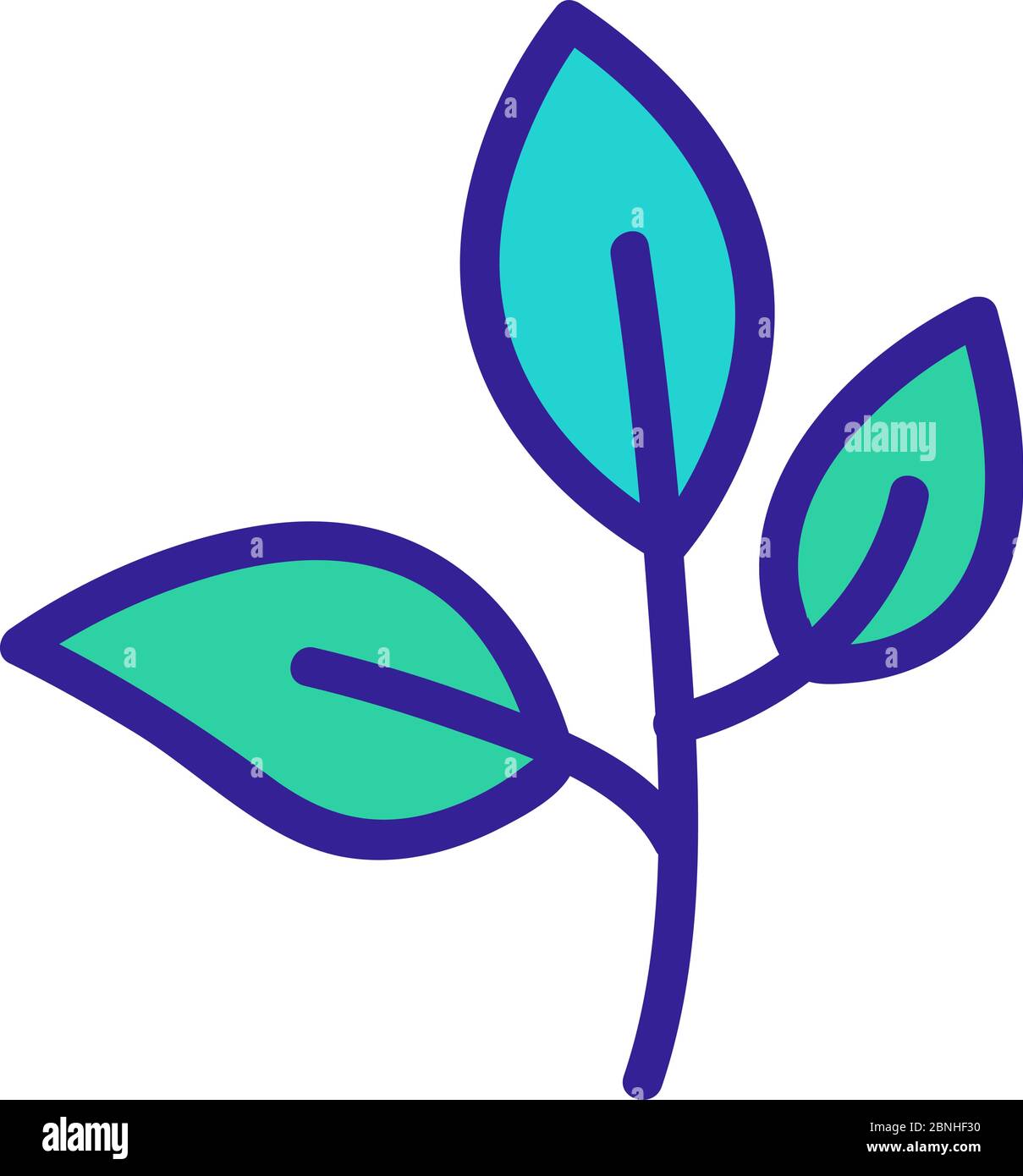 oregano leaves icon vector outline illustration Stock Vector Image ...