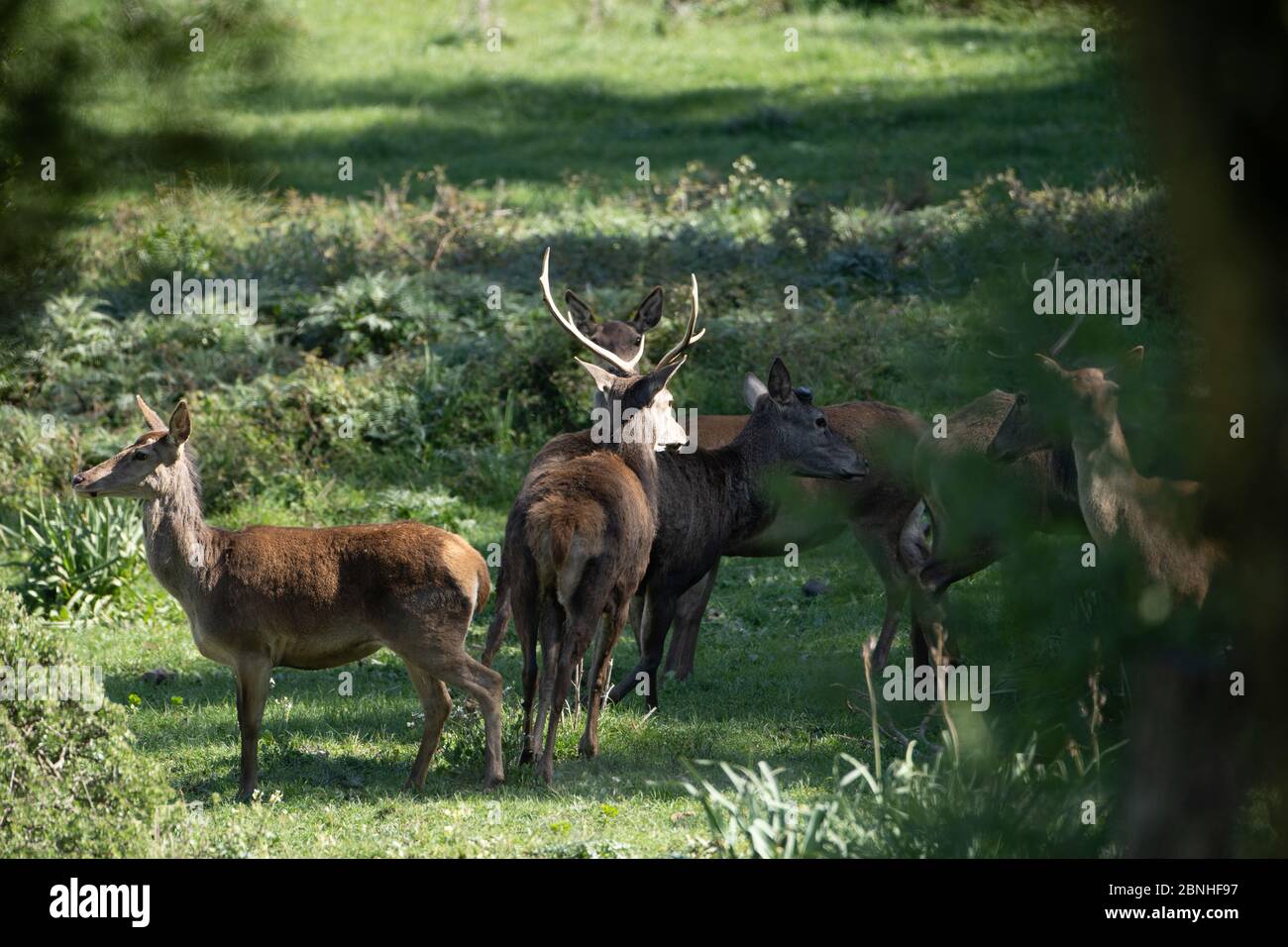 welcome to tunisia: El Feij, Le Kef Stock Photo - Alamy