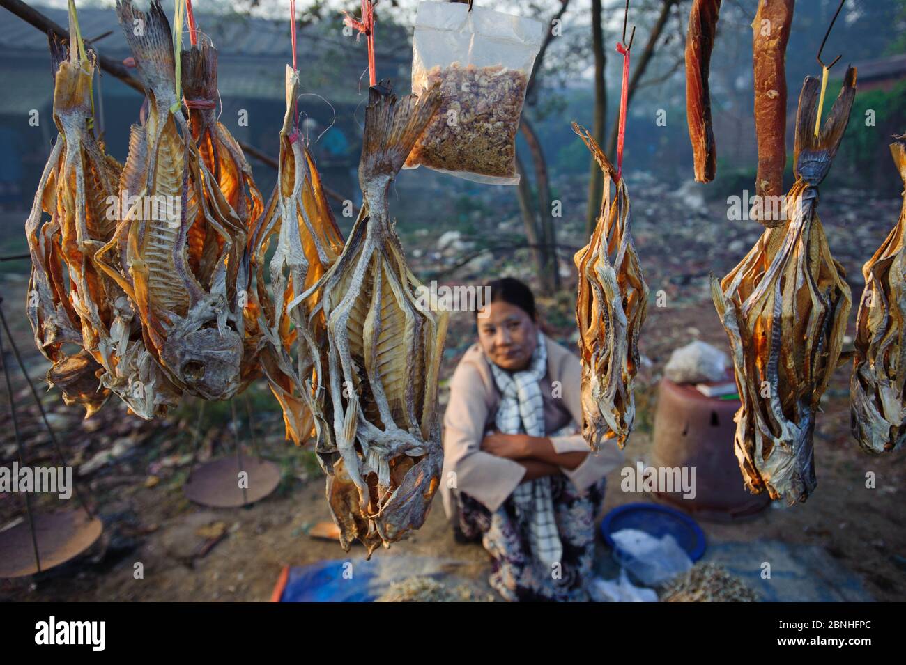 Women selling dried fish at Sittwe fish market. Rakhine State, Myanmar ...