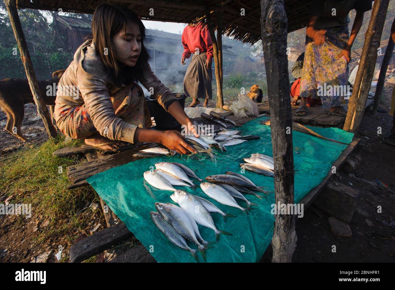 Women selling fish hi-res stock photography and images - Alamy