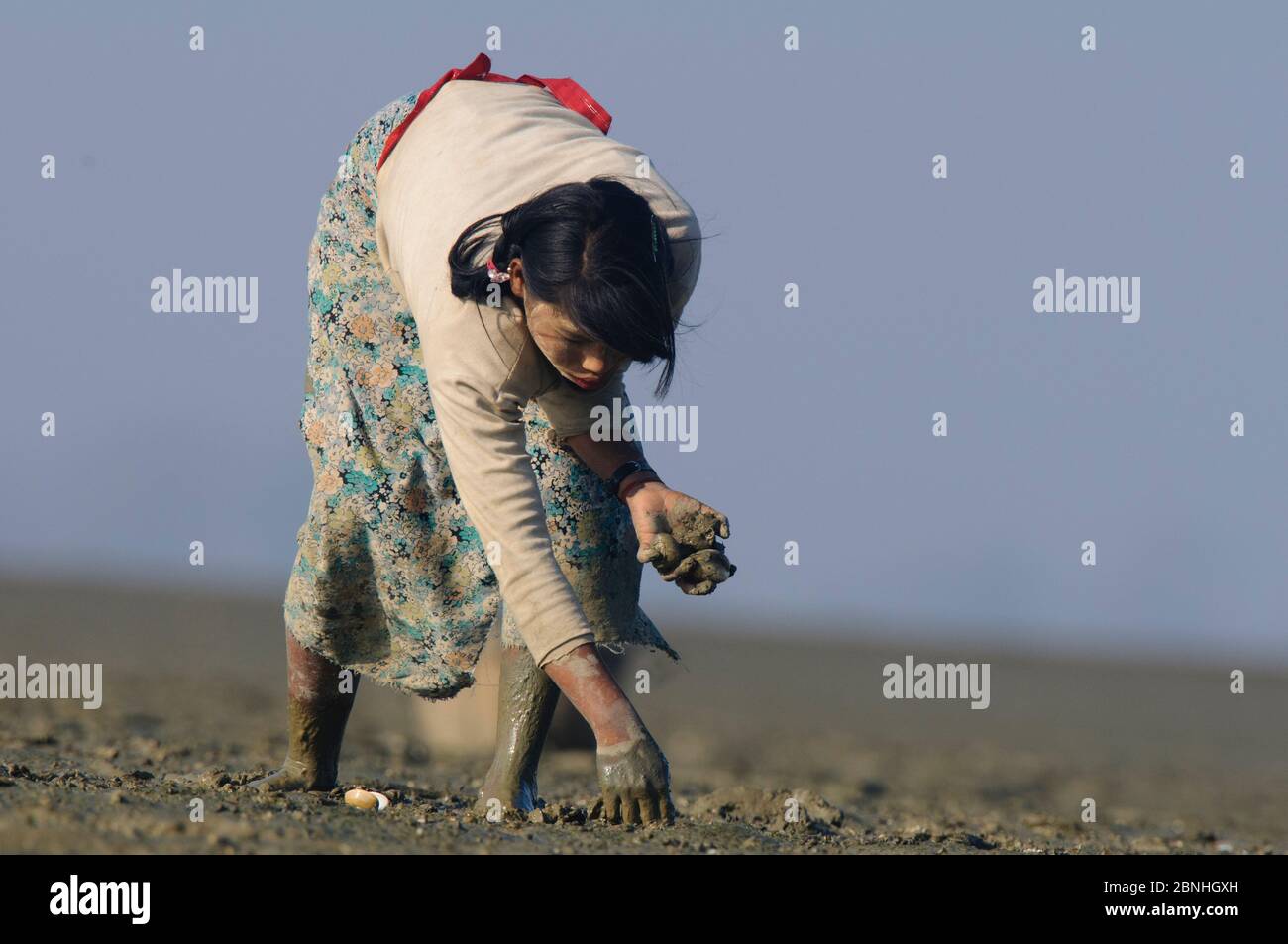 Gathering clams hi-res stock photography and images - Alamy