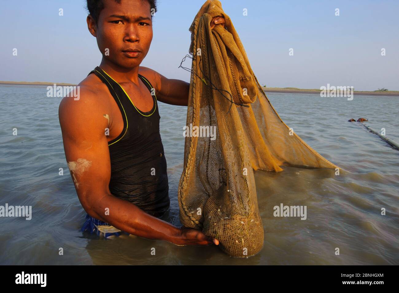 Subsistence shrimp fisherman with catch standing in sea, Rakhine State ...
