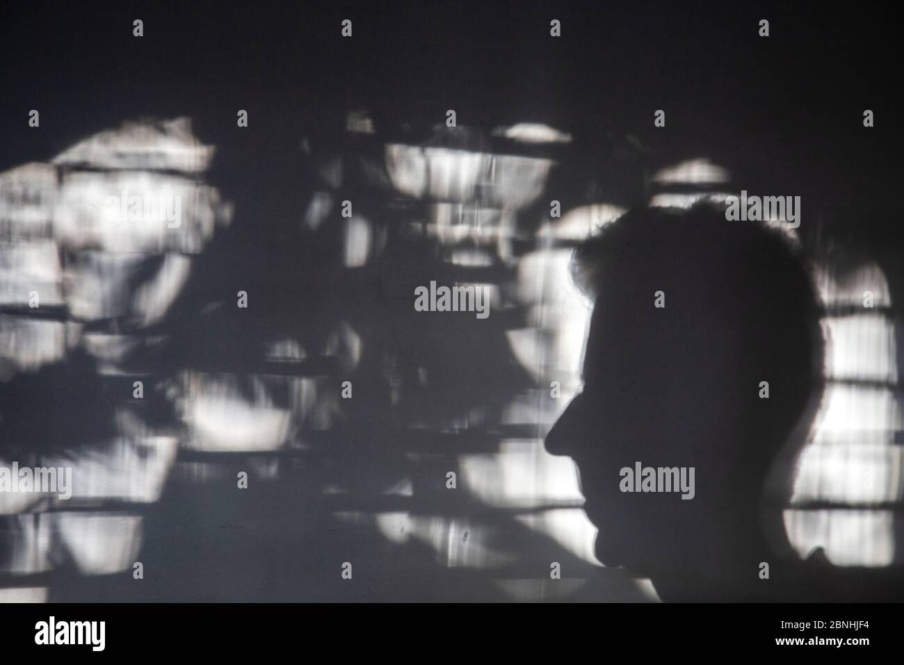Self Isolation Shadow Portrait Stock Photo - Alamy