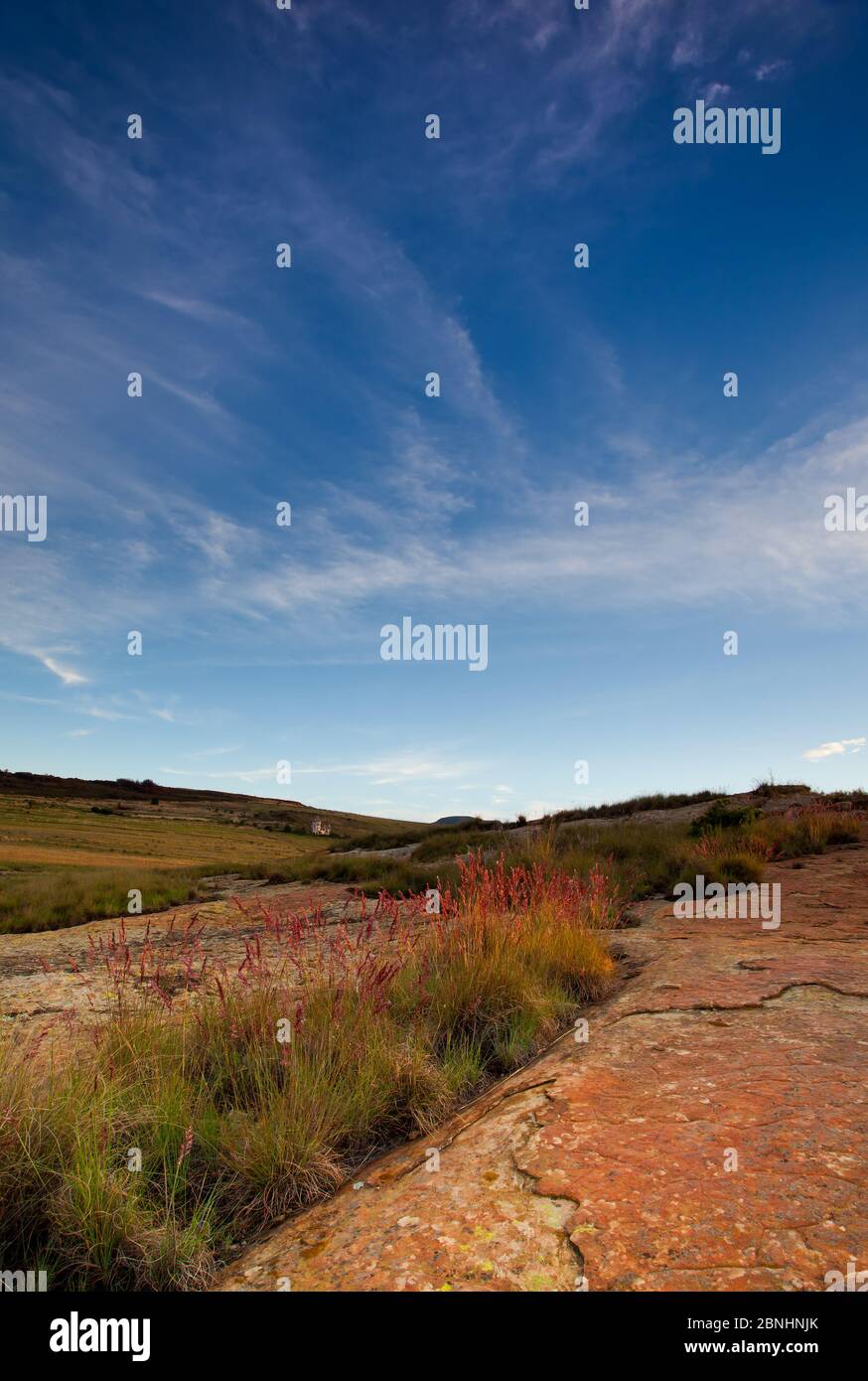 South african farm land hi-res stock photography and images - Alamy