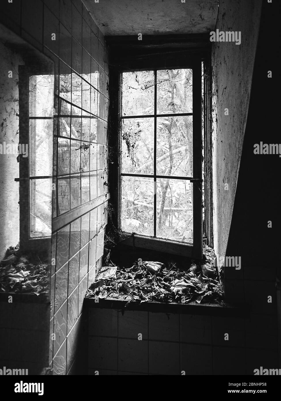Half opened window Black and White Stock Photos & Images - Alamy