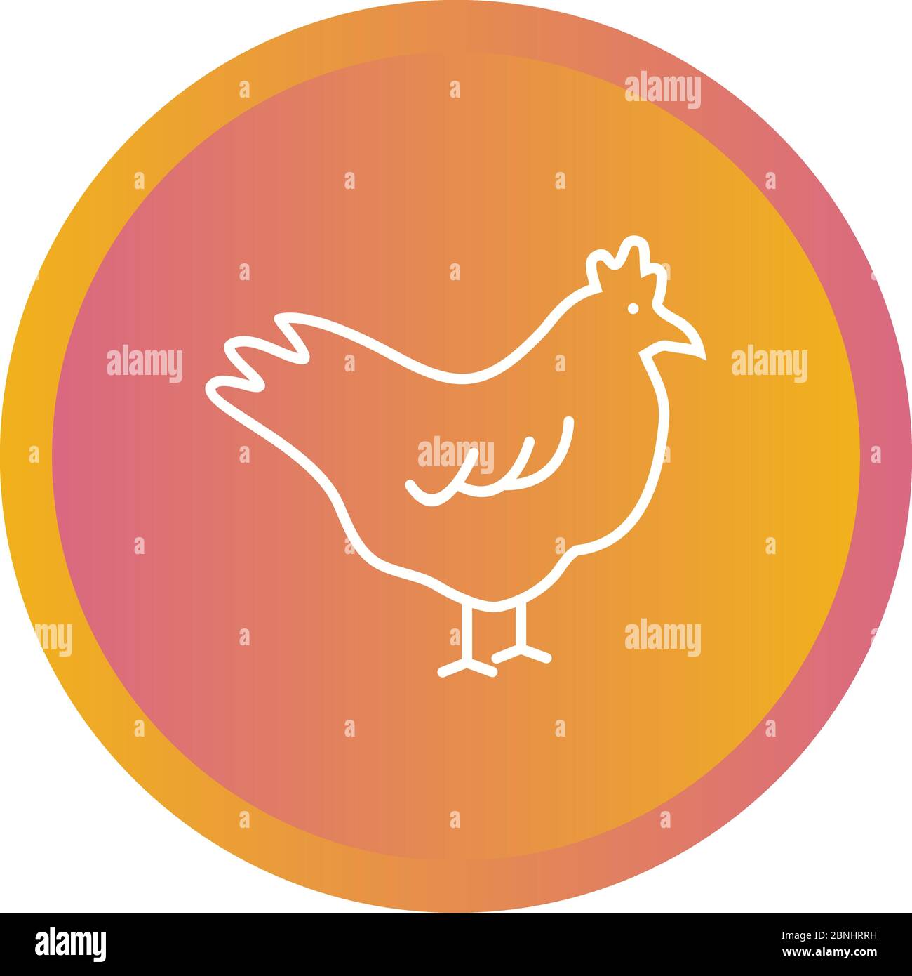 Chicken halal Stock Vector Images - Alamy
