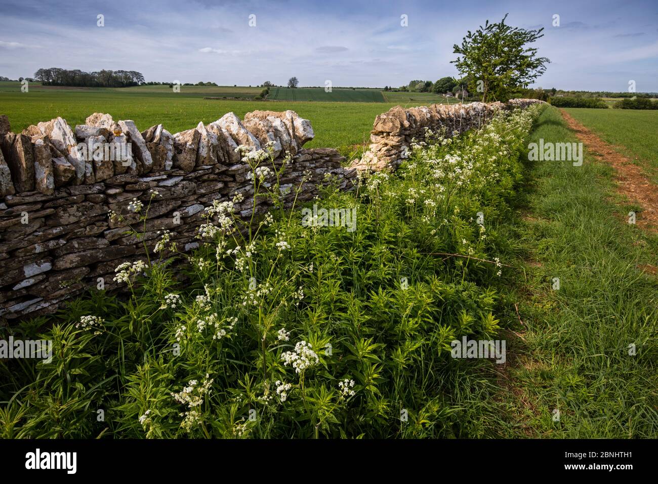 Cold Aston High Resolution Stock Photography and Images - Alamy
