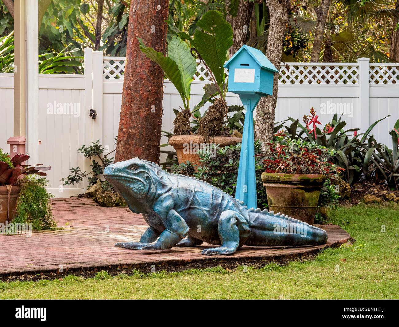 Figure of Blue iguana (Cyclura lewisi), Queen Elizabeth II Botanic Park ...