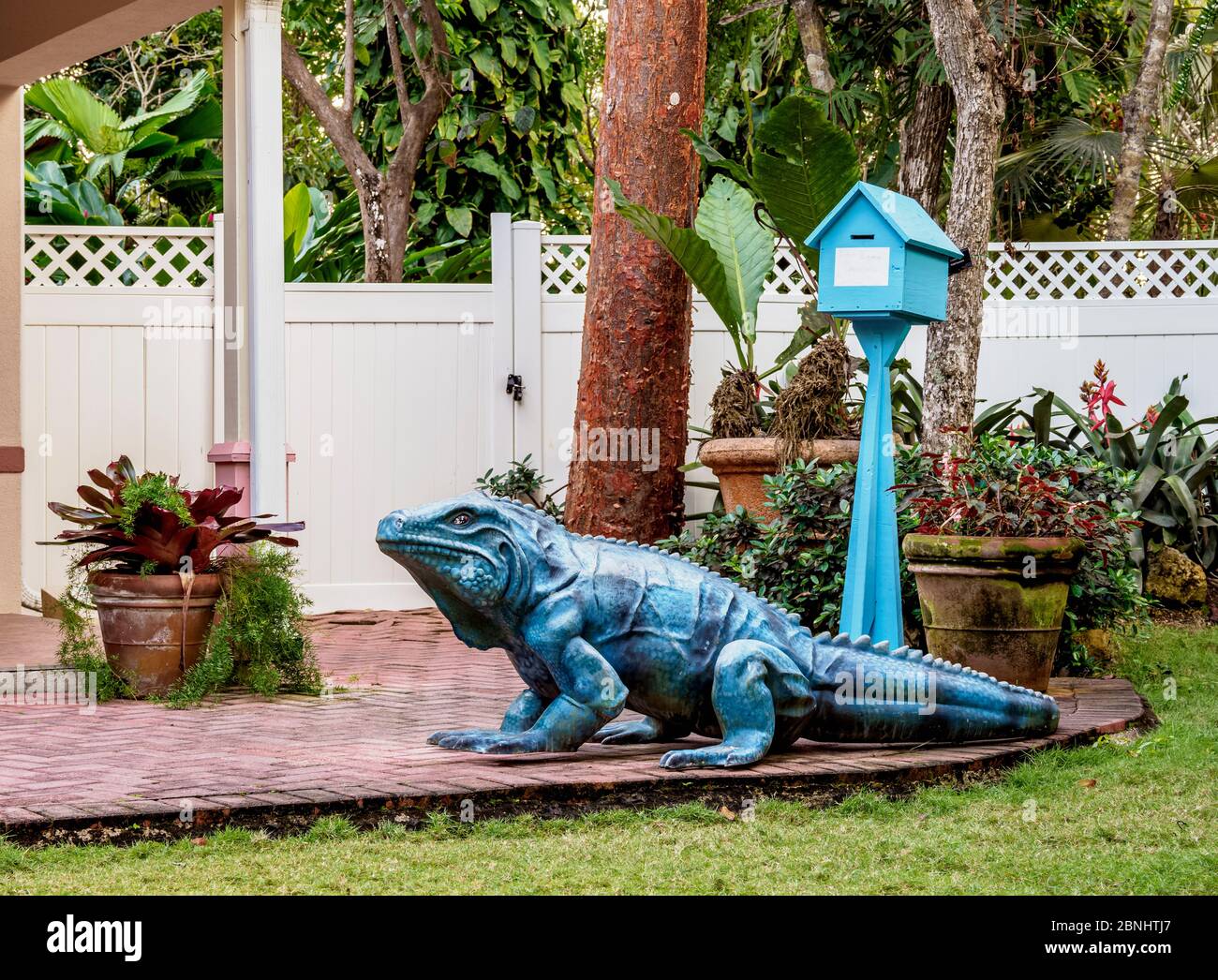 Figure of Blue iguana (Cyclura lewisi), Queen Elizabeth II Botanic Park ...