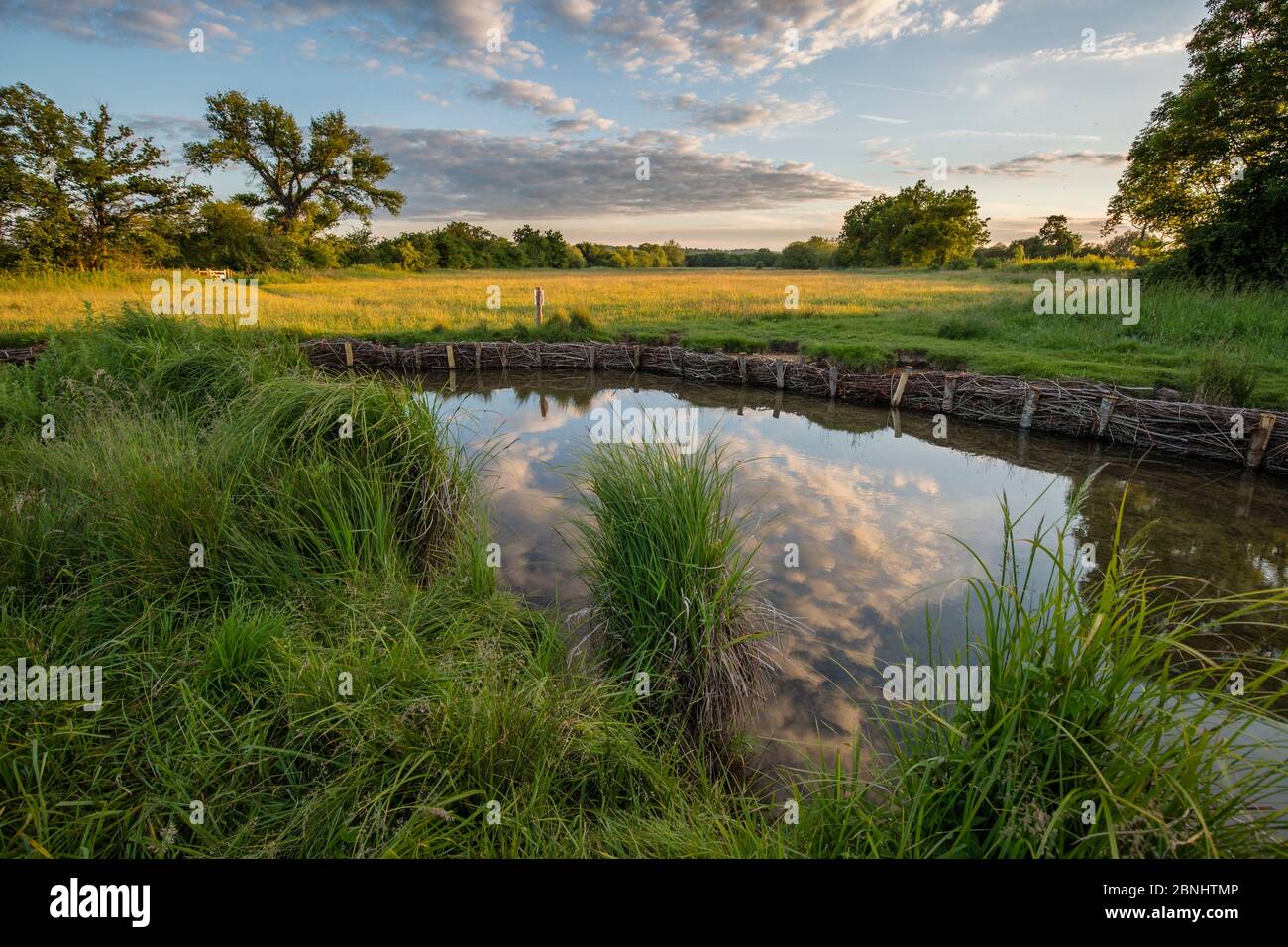 River Eye at Greystones Farm, Gloucestershire Wildlife Trust (GWT ...