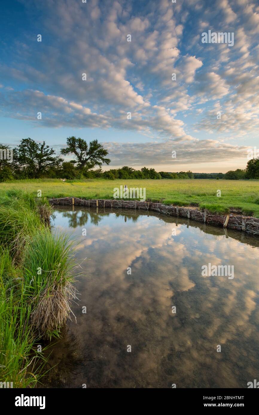 River Eye at Greystones Farm, Gloucestershire Wildlife Trust (GWT ...