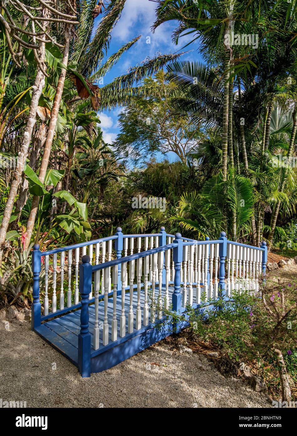 Botanic park grand cayman hi-res stock photography and images - Alamy