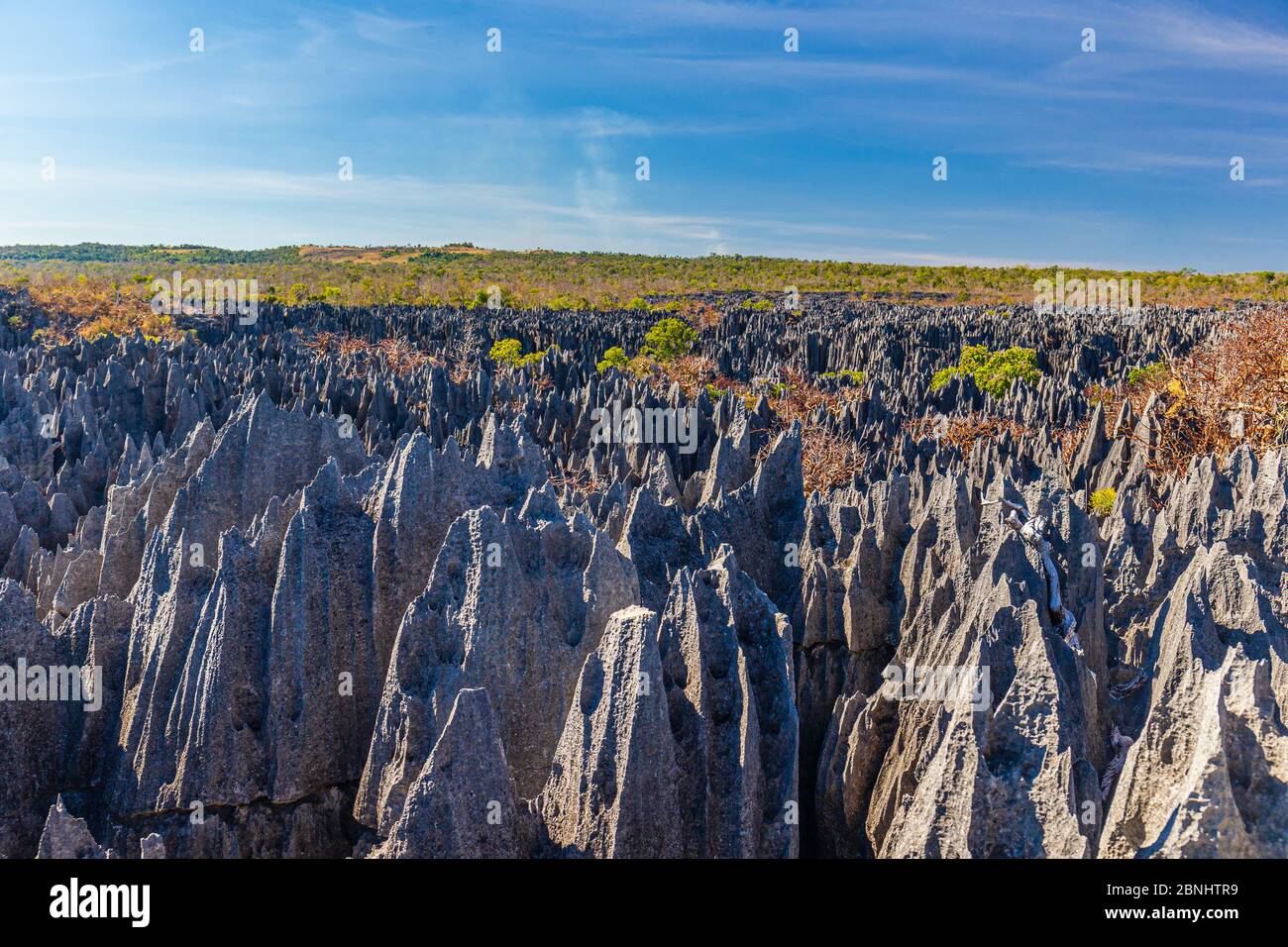 Rocks Of Madagascar