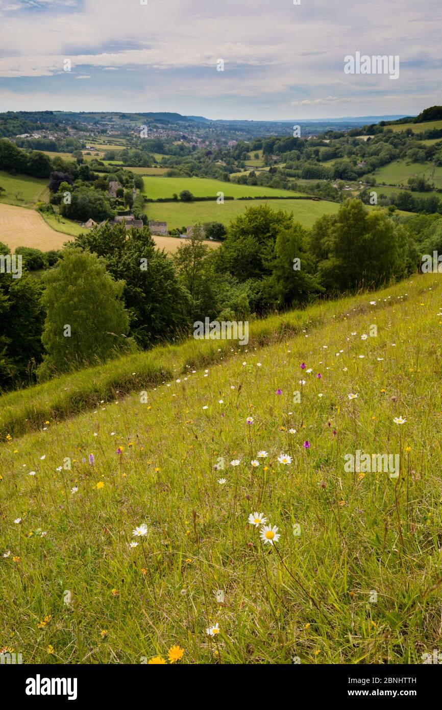 Unimproved grassland hi-res stock photography and images - Alamy