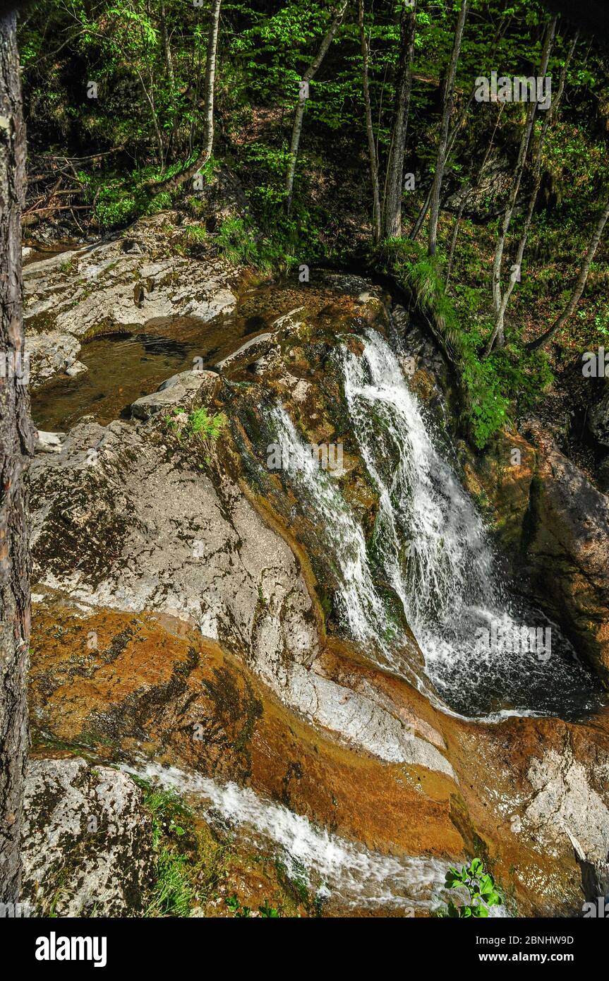 Waterfalls and Cascades in Oetscher National Park, Springtime Stock ...