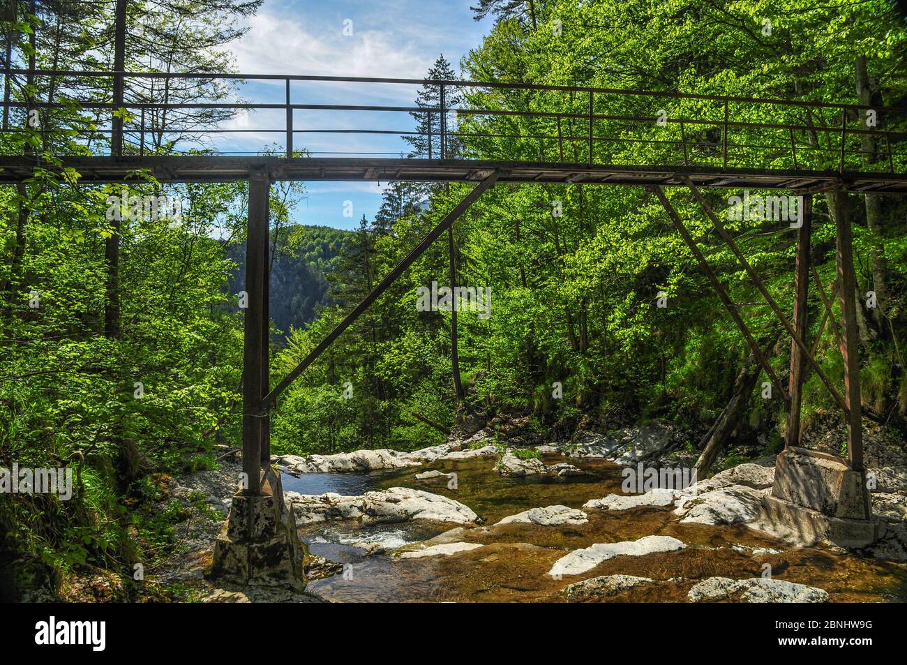 Waterfalls and Cascades in Oetscher National Park, Springtime Stock ...