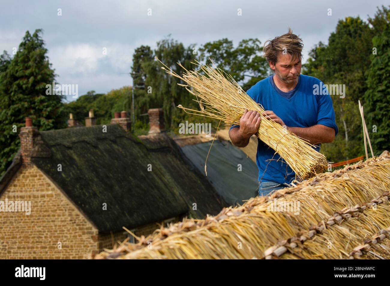 Dan Quatermain, master thatcher working on a thatched roof in Wroxton ...