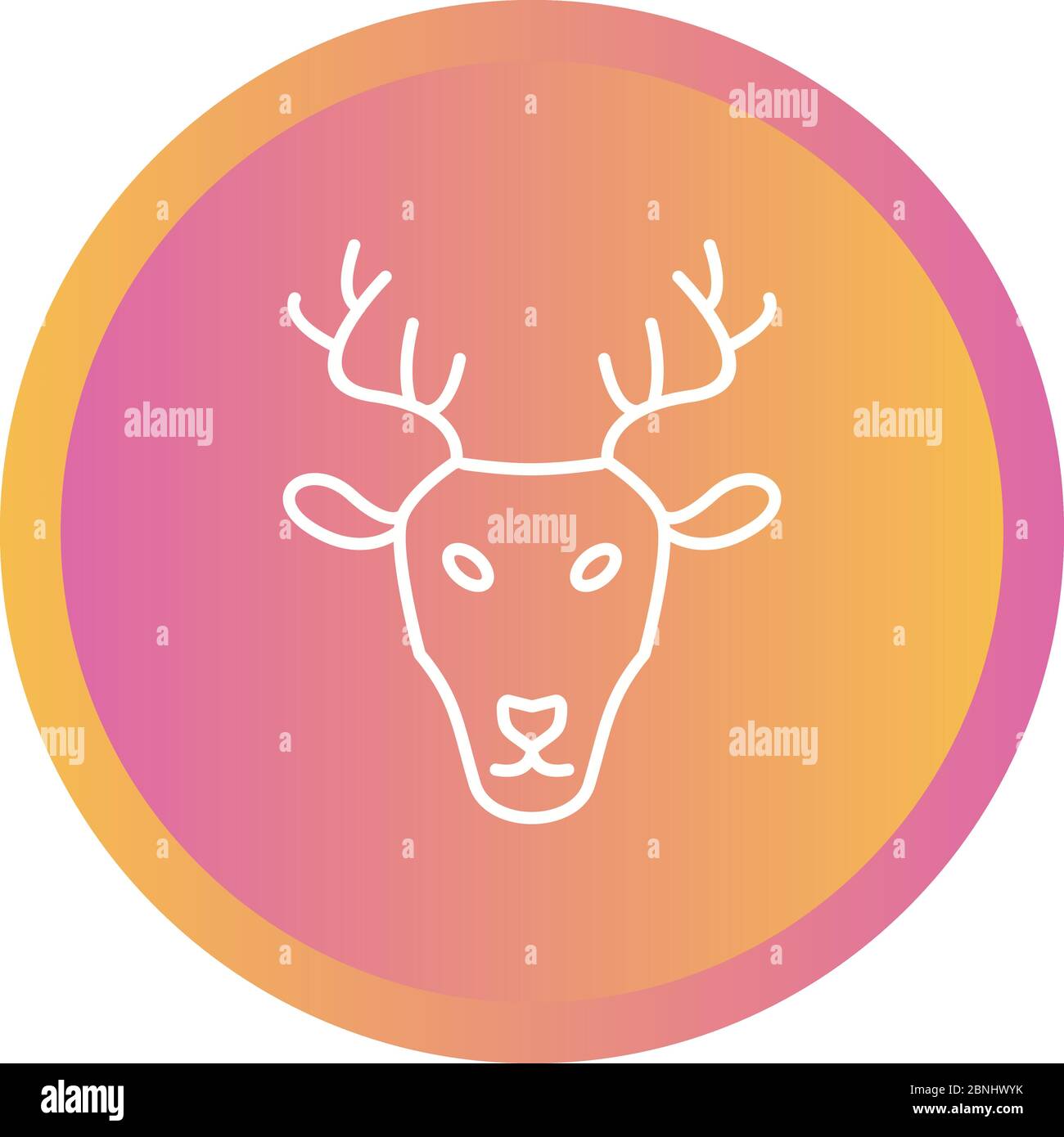 Beautiful Wild Animal Line Vector Icon Stock Vector Image & Art - Alamy