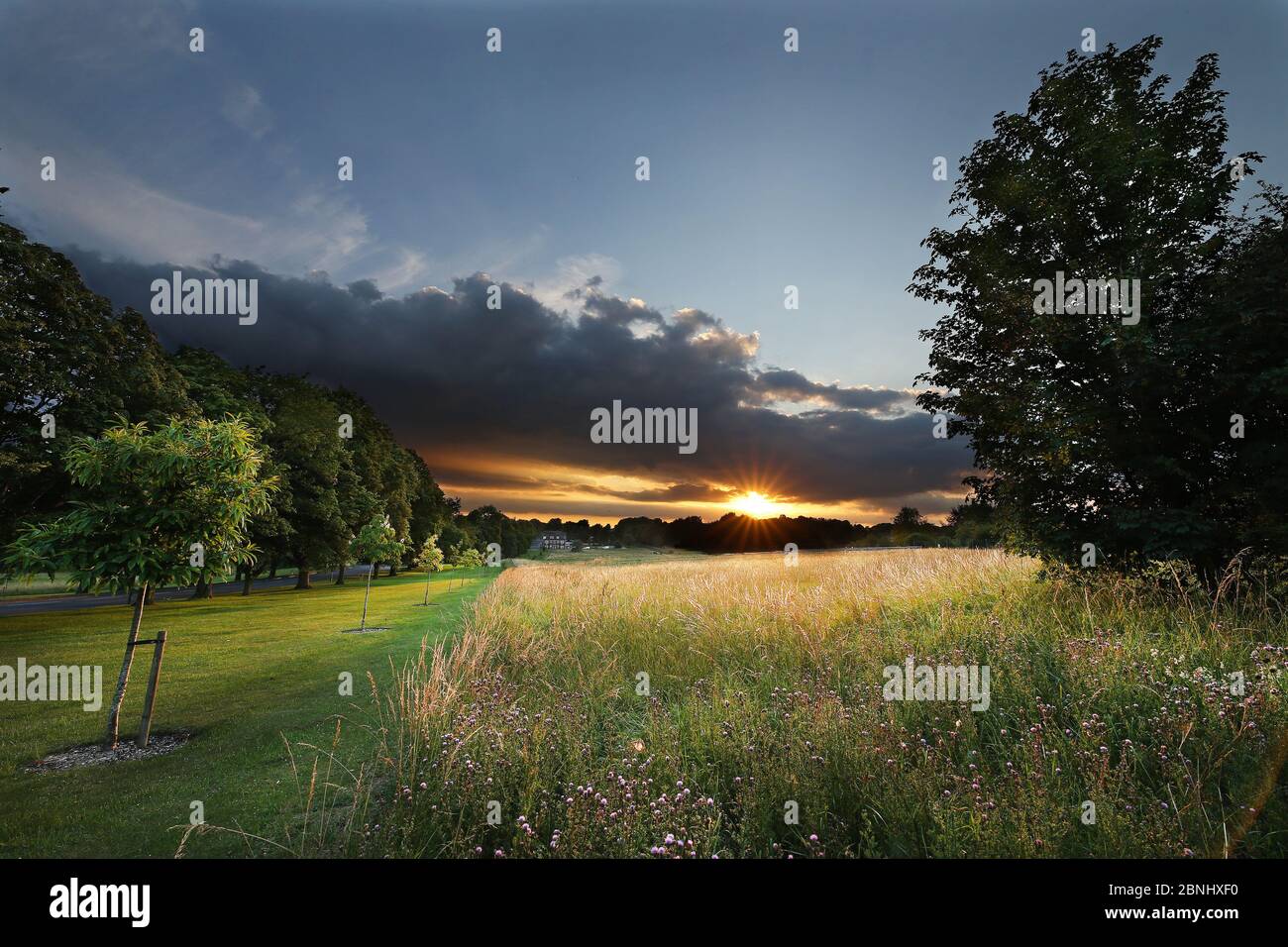 Larkhill army hi-res stock photography and images - Alamy