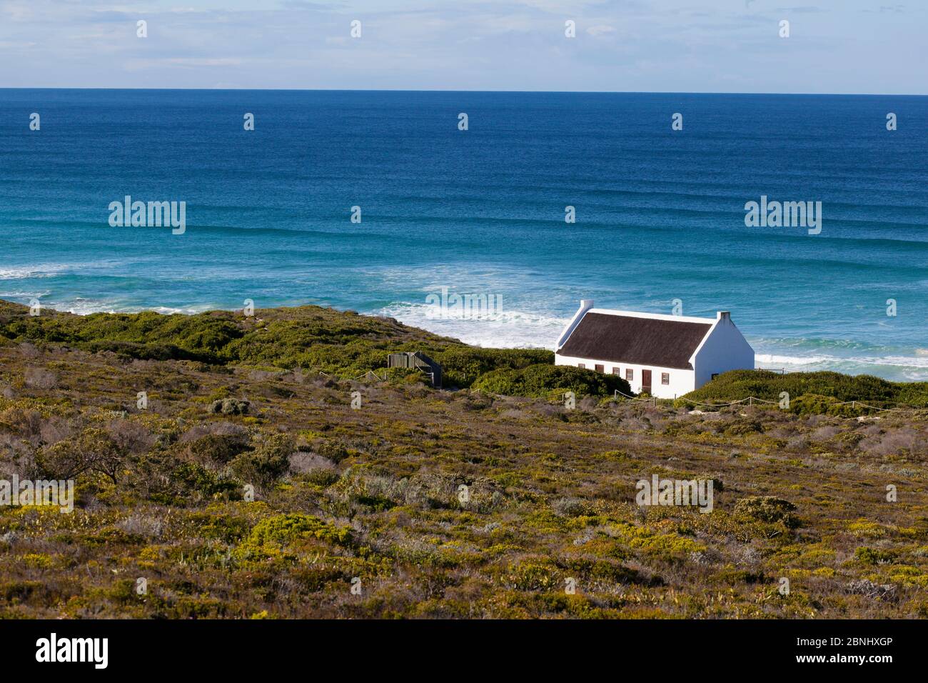 Fynbos Habitat High Resolution Stock Photography and Images - Alamy