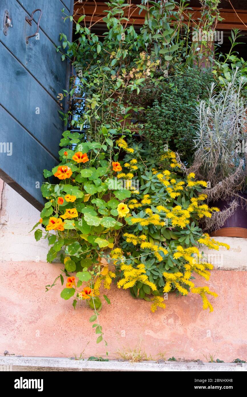 Boxes of curry hi-res stock photography and images - Alamy