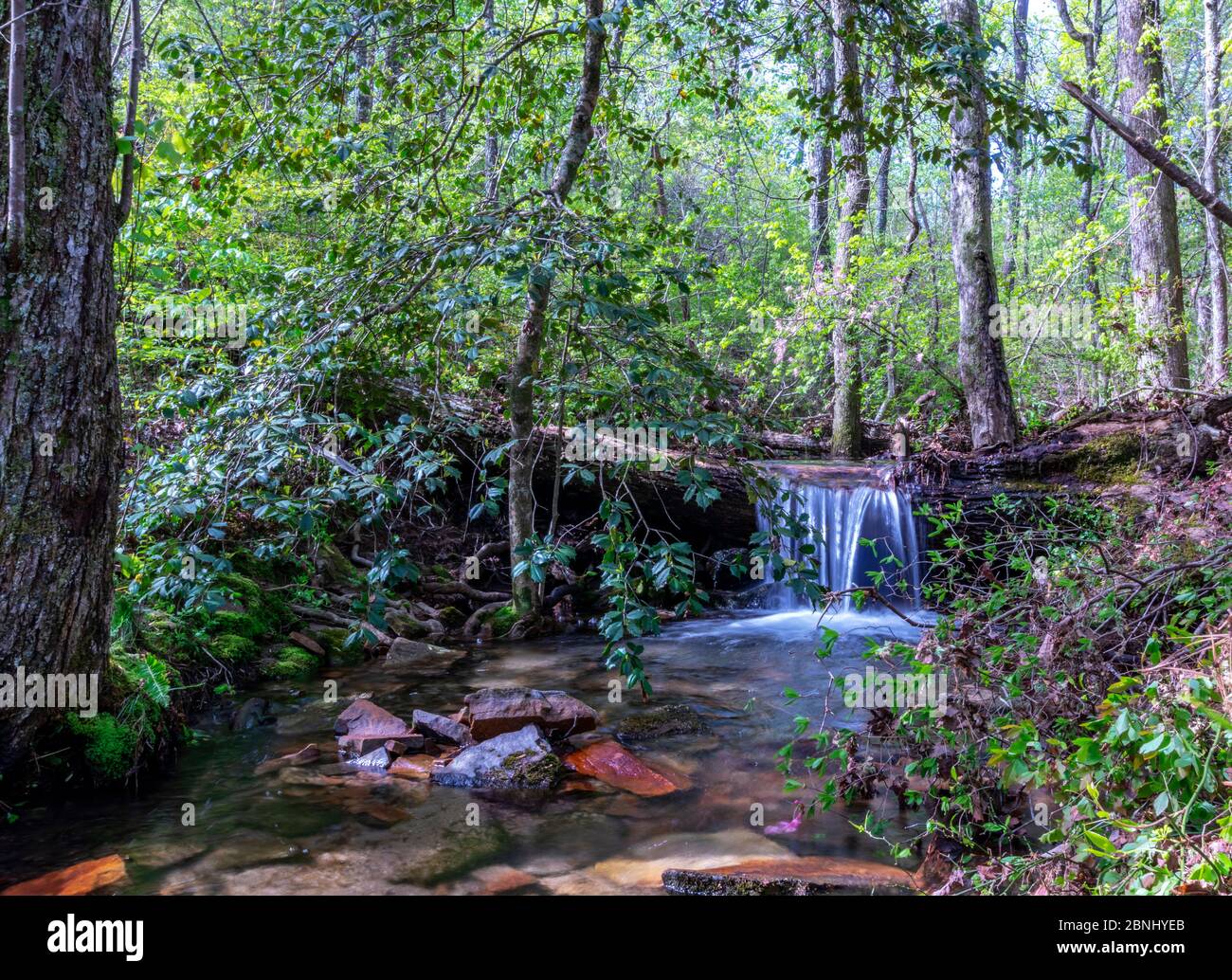 Beautiful waterfalls along the trails on Lookout mountain Stock Photo ...