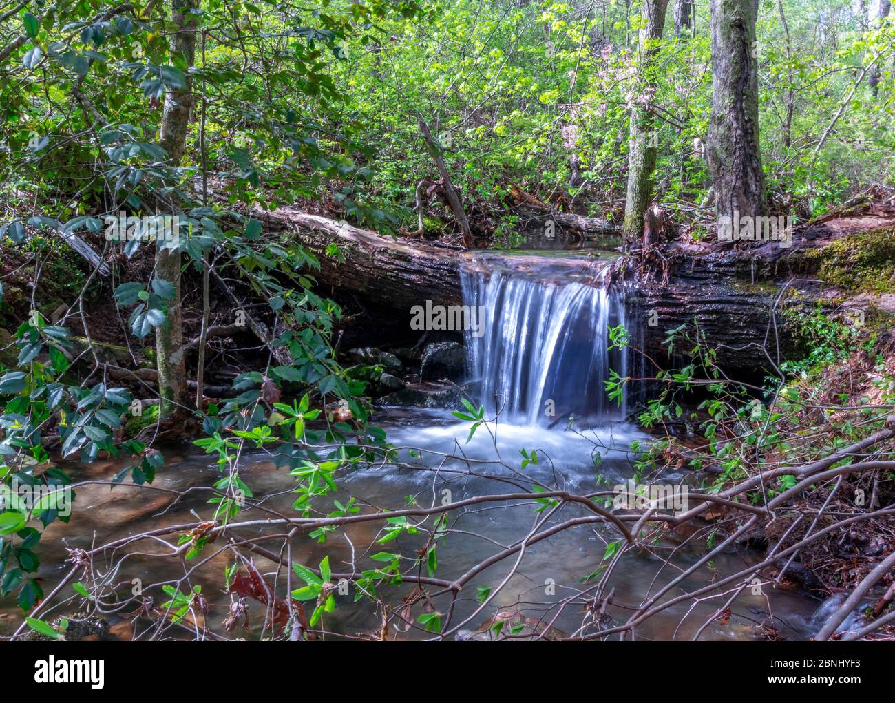 Beautiful waterfalls along the trails on Lookout mountain Stock Photo ...